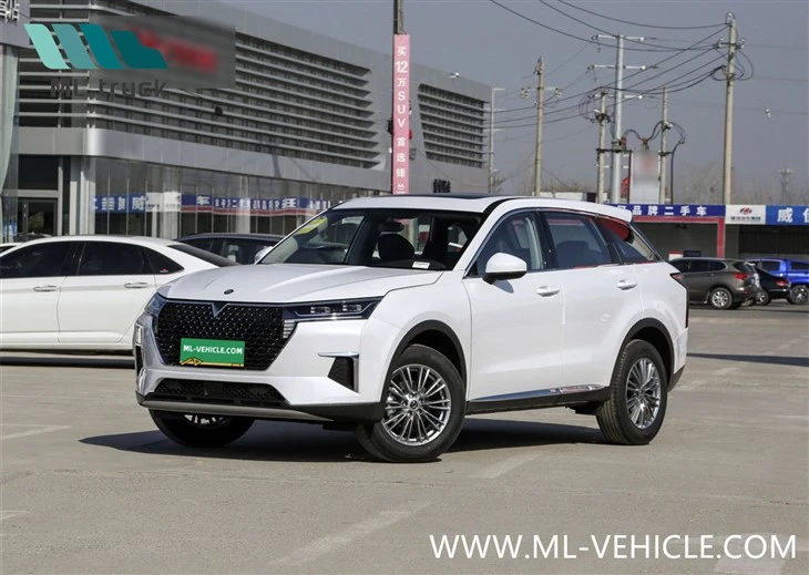 Ngôi sao DongFeng NISSAN Venucia tùy chỉnh tại Trung Quốc - Ngôi sao ...